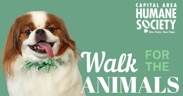 2025 Walk for the Animals